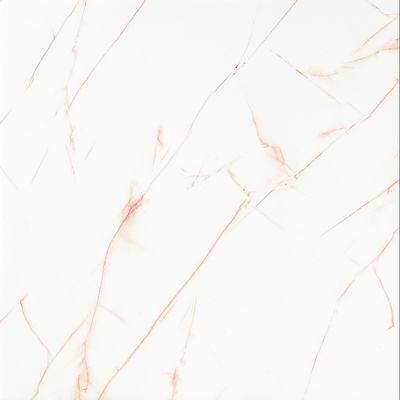 36 X 36 Inches Modern Bathroom Tiles / Waterproof Stone Like Porcelain Tile